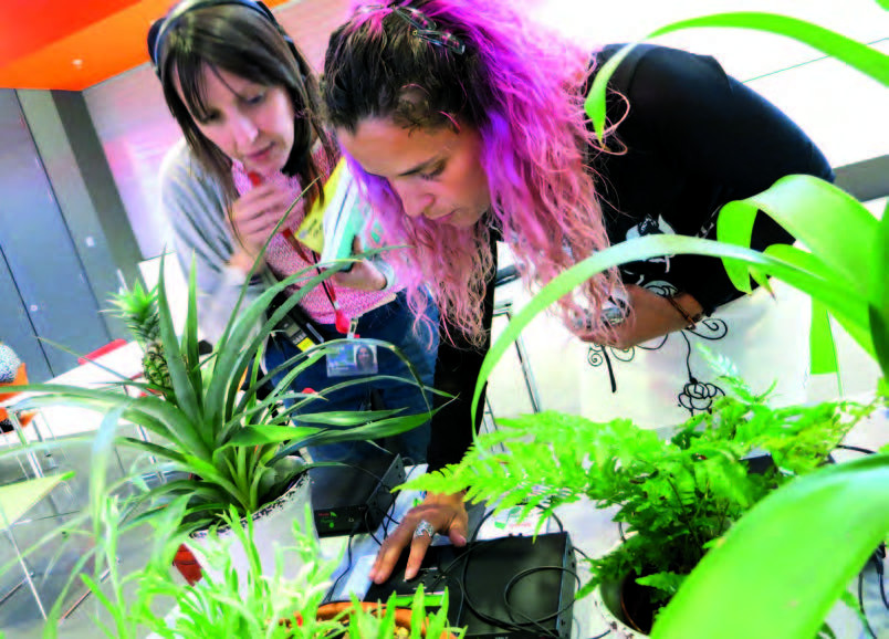 Comprendre le vivant avec la musique des plantes- Plantes et Santé