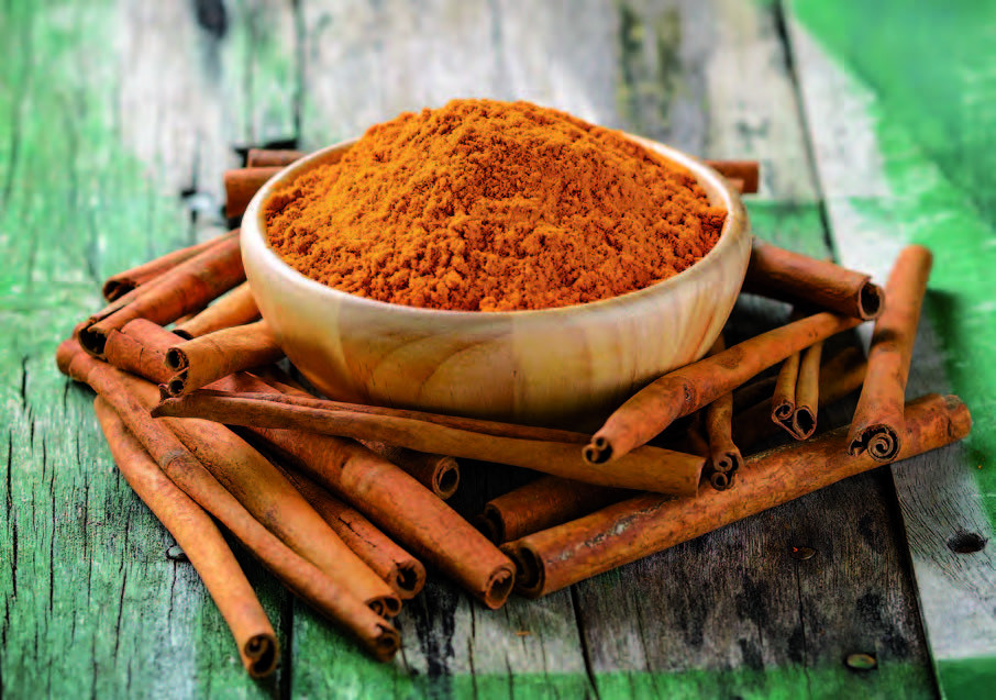 La cannelle, une écorce tonique- Plantes et Santé